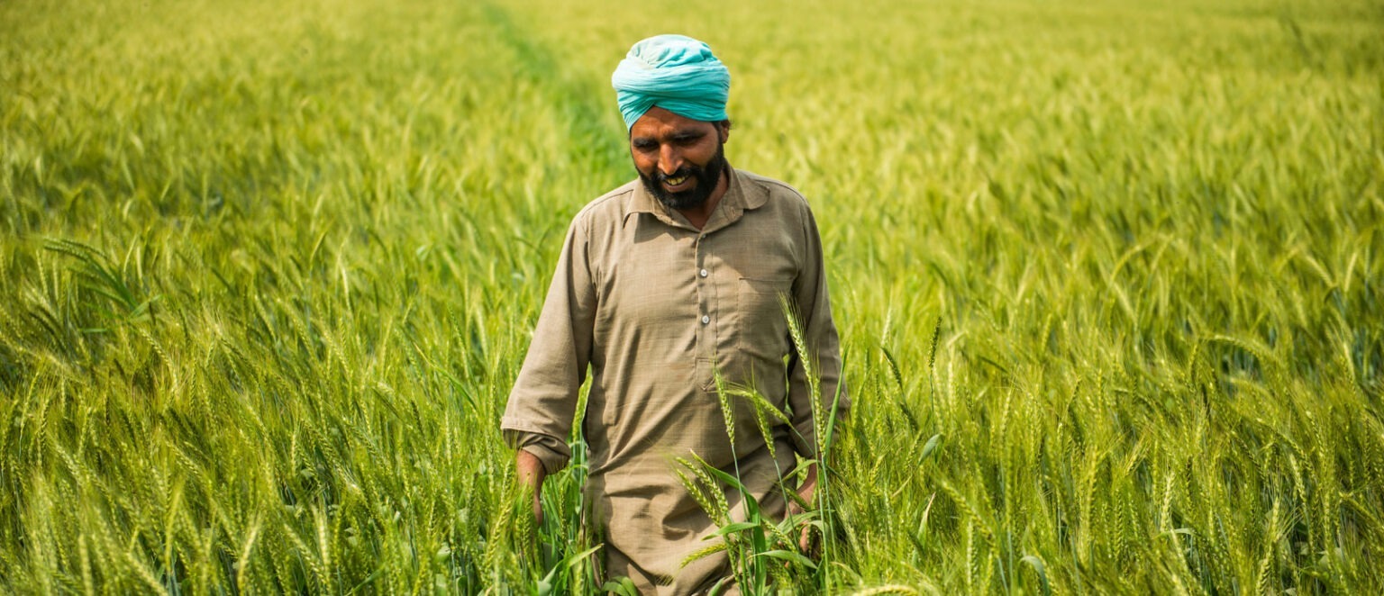 NACL Industries Ltd | Leading Agrochemical Solutions & Crop Protection