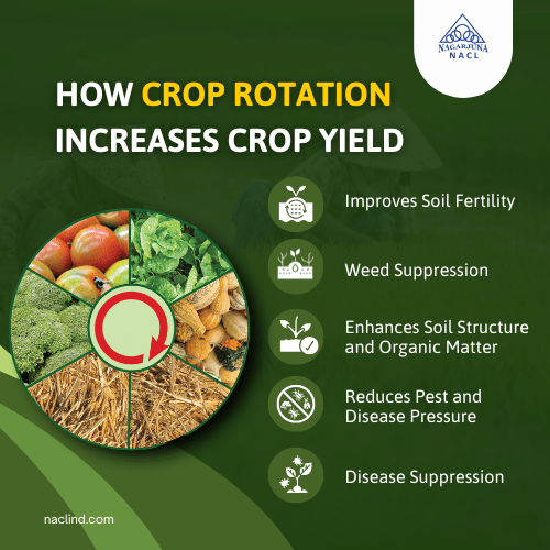 Crop Rotation Benefits For Optimum Crop Yield | NACL