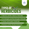 Choose The Right Herbicide: A Complete Guide